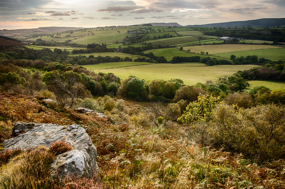 The Countryside Around Edingham Castle Northumberland Photography By